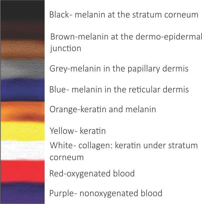 Basics Of Dermatoscopy by Dr. Bhavesh Devani